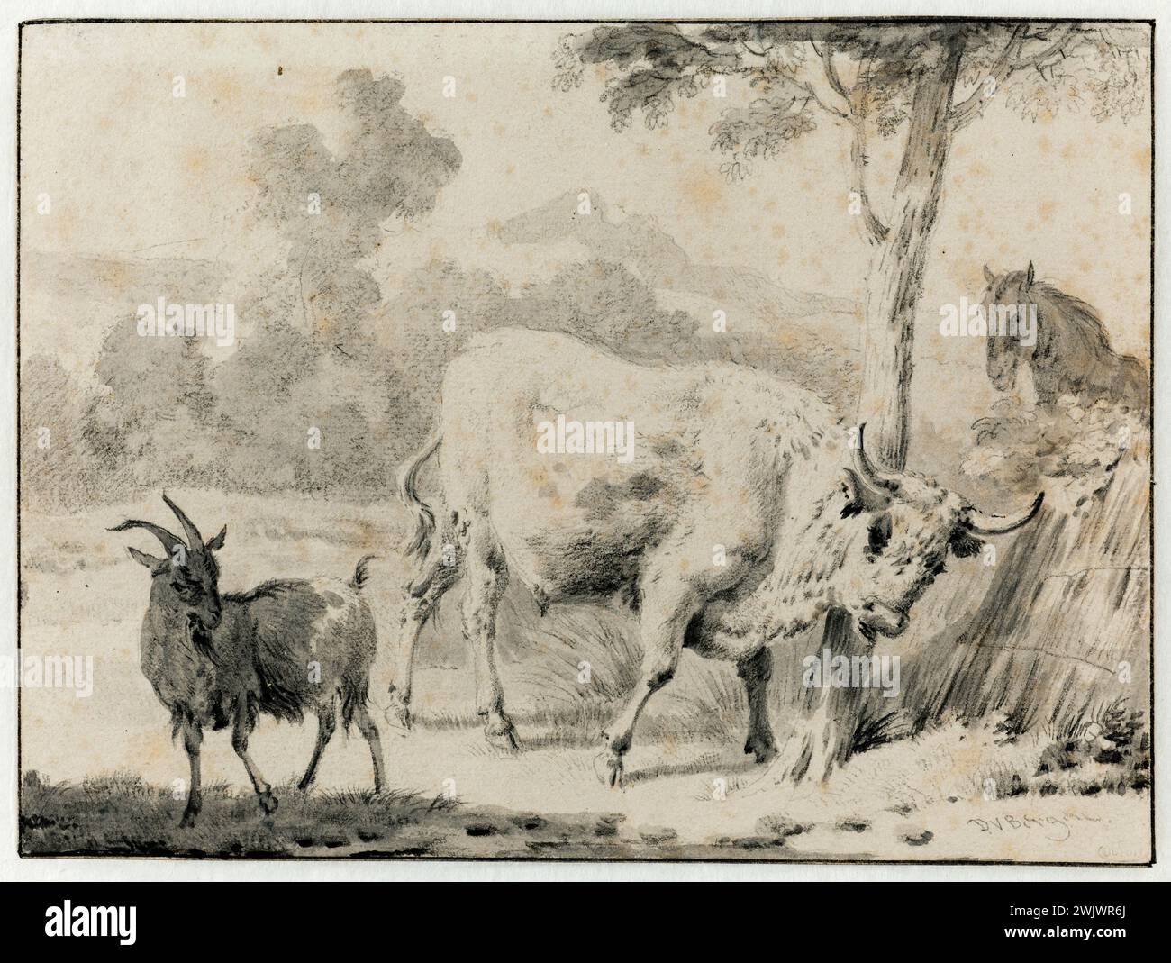 Dirb Van Bergen (1645-V.1700). "Beef rubbing the neck with a tree ...