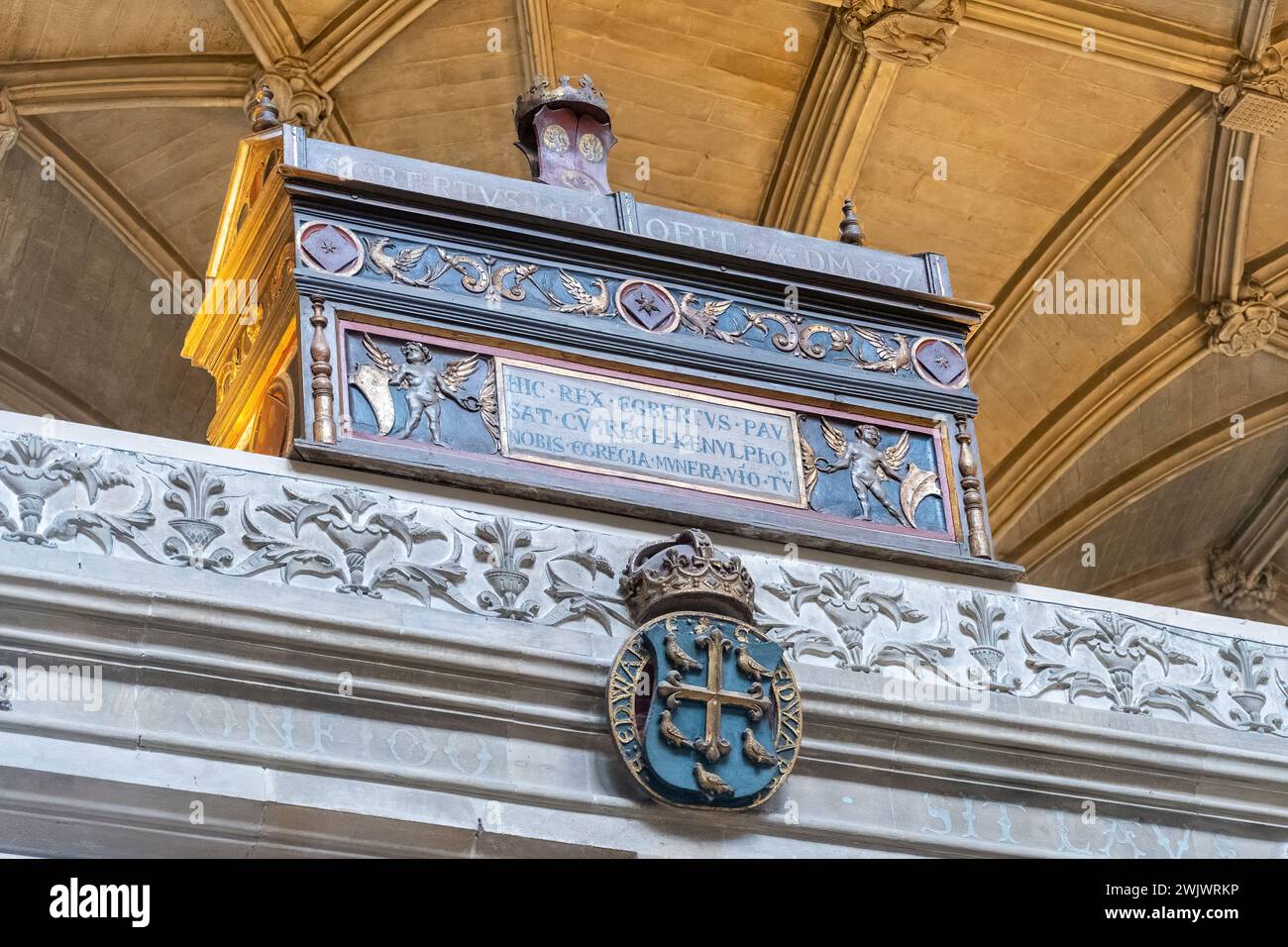 Chest bones hi-res stock photography and images - Alamy