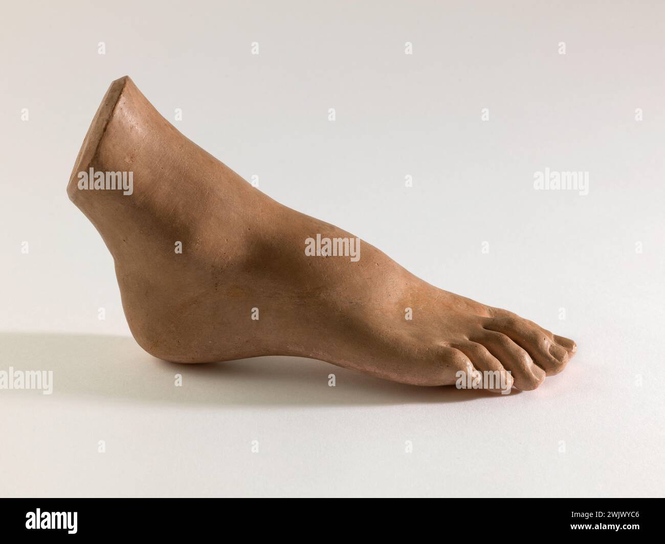 Anonymous. "Molding of Rachel's foot (1821-1858), French actress ...