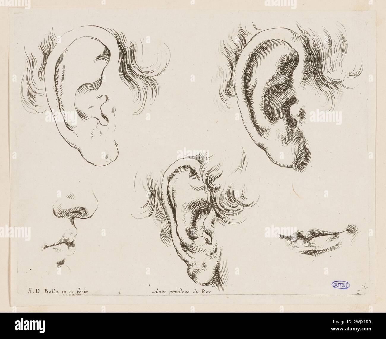 366 rooms hi-res stock photography and images - Alamy