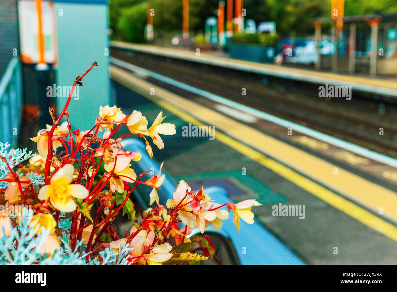 Network west midlands train hi-res stock photography and images - Alamy