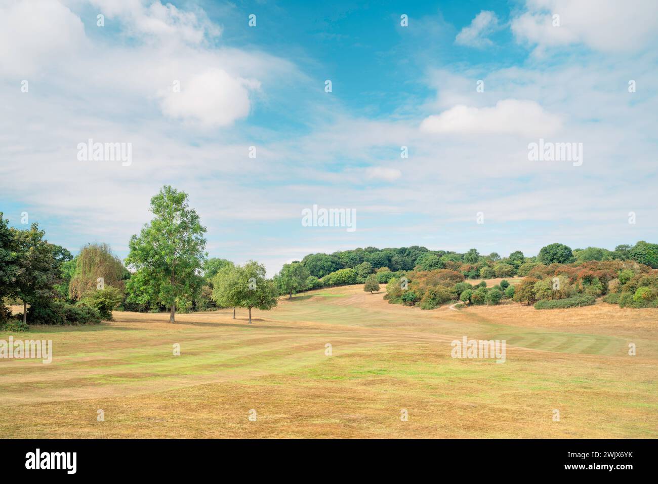Beverley, Yorkshire, UK - View across the Westwood public parkland ...