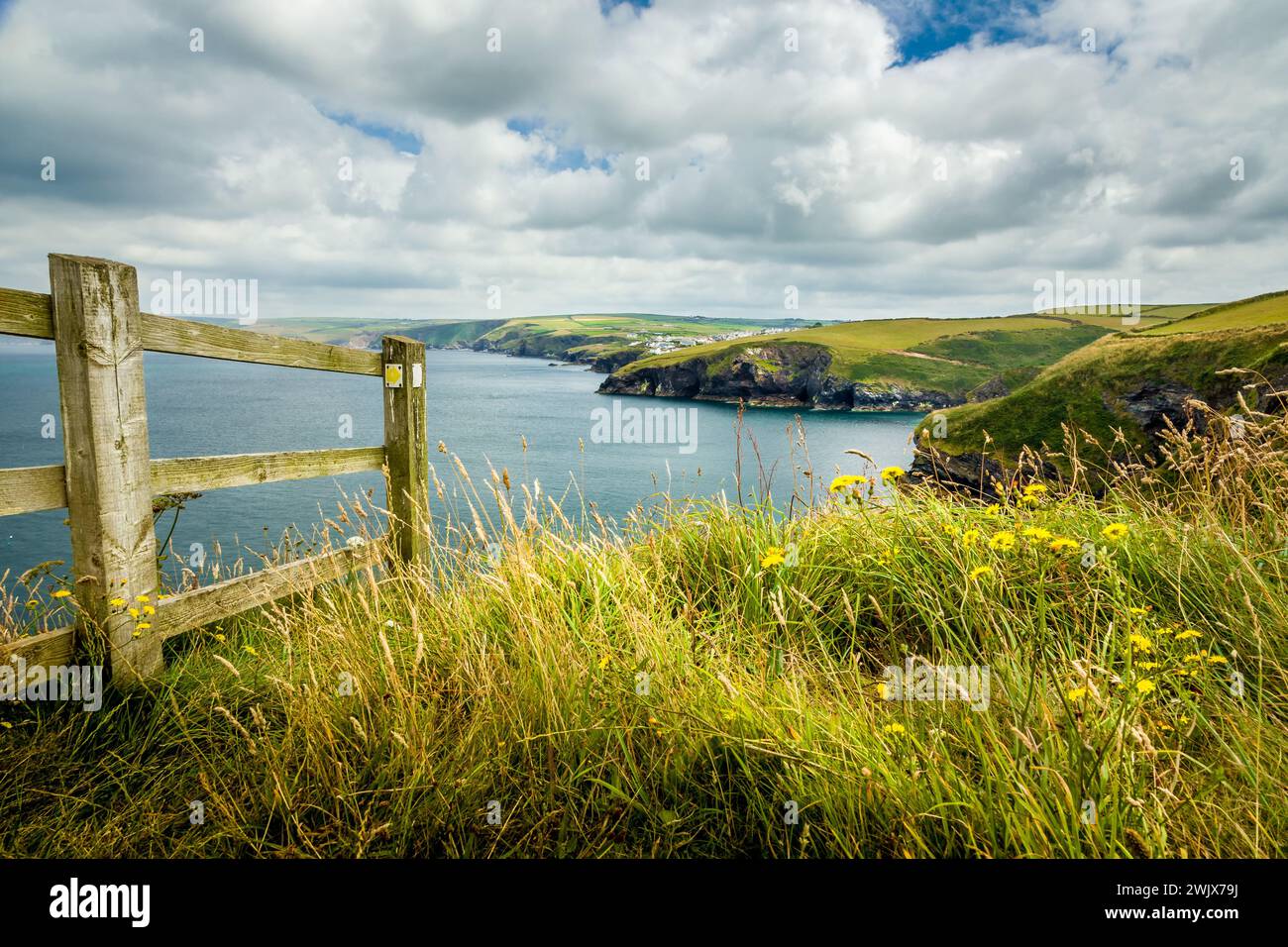The coastal path near Port Isaac, Cornwall, England Stock Photo - Alamy