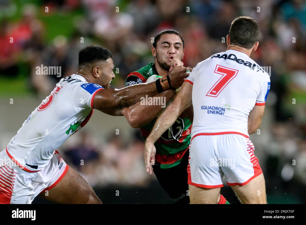 Sydney, Australia. 17th Feb, 2024. Davvy Moale of the South Sydney ...