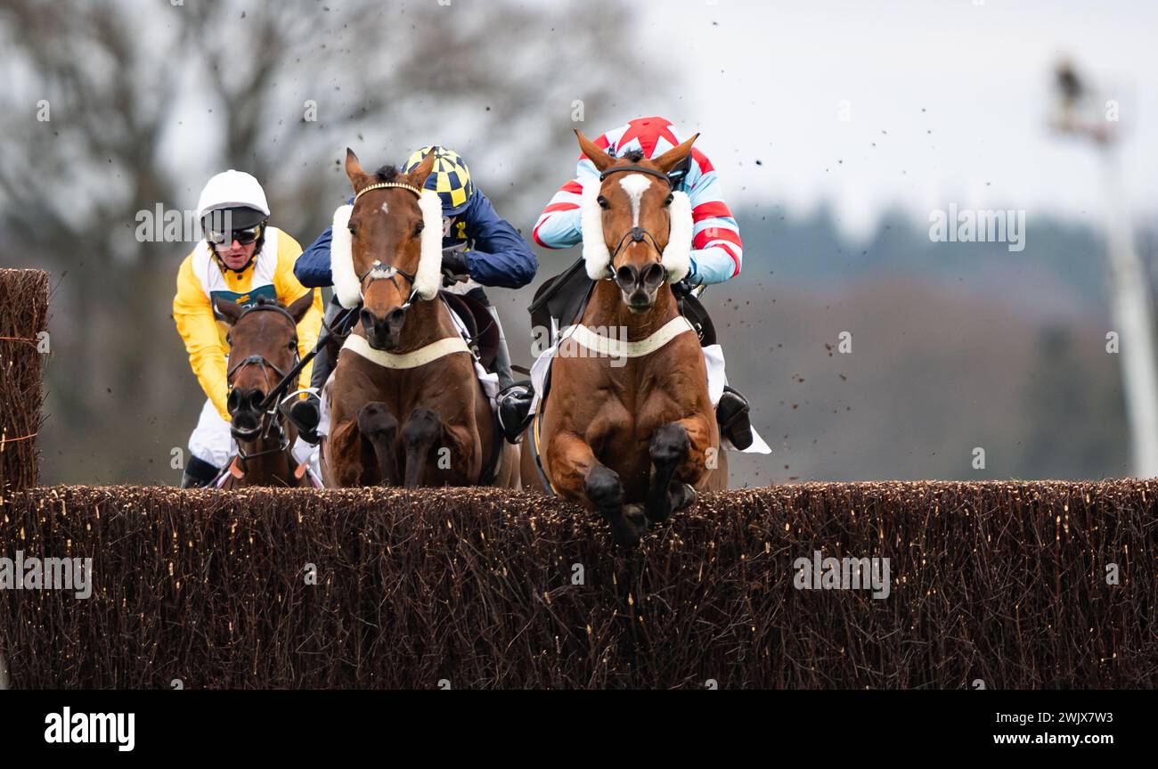 Grade 2 winner hi-res stock photography and images - Alamy