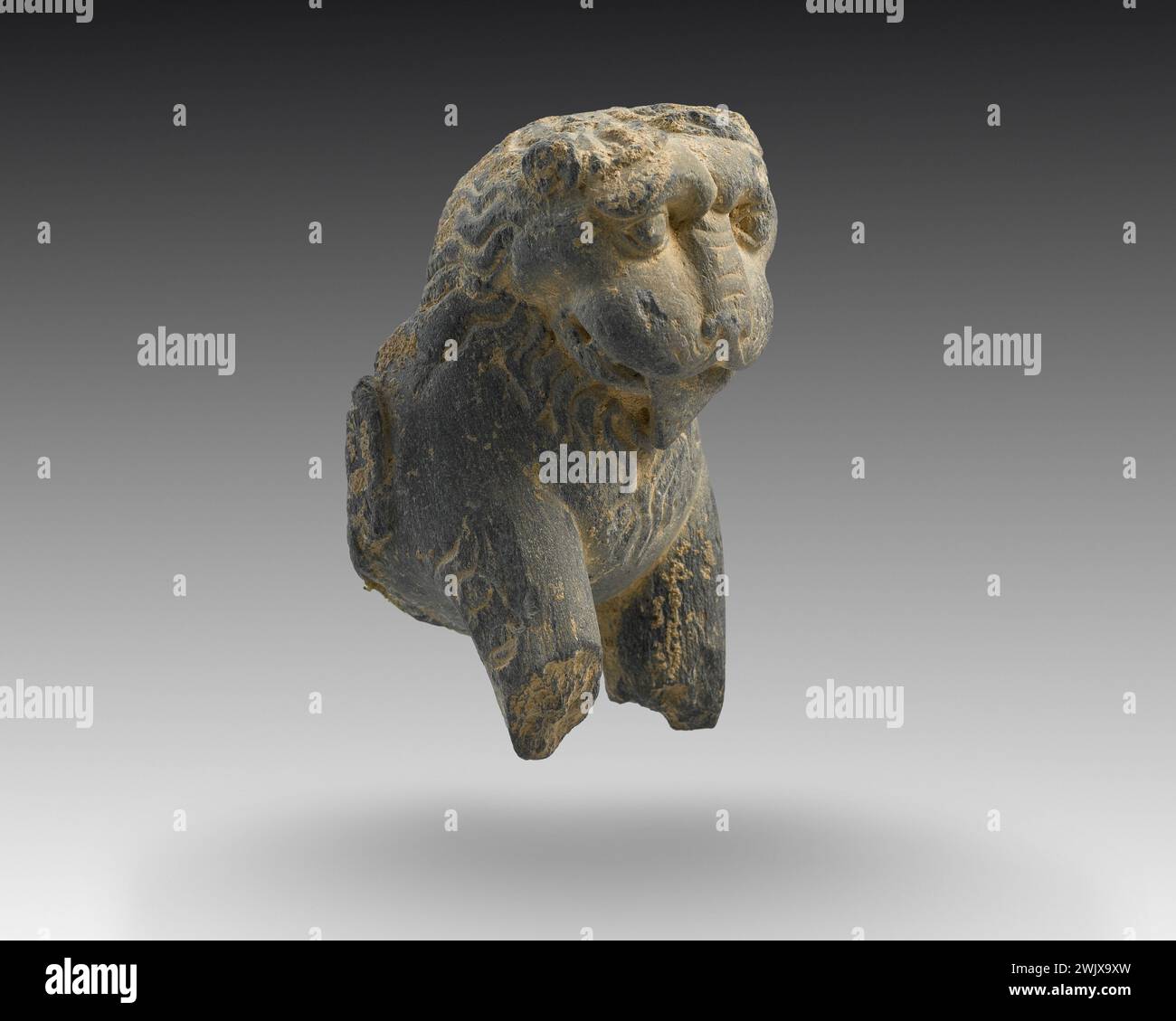 Lion protomed (common name), 0100. Dense black stone. Cernuschi Museum ...