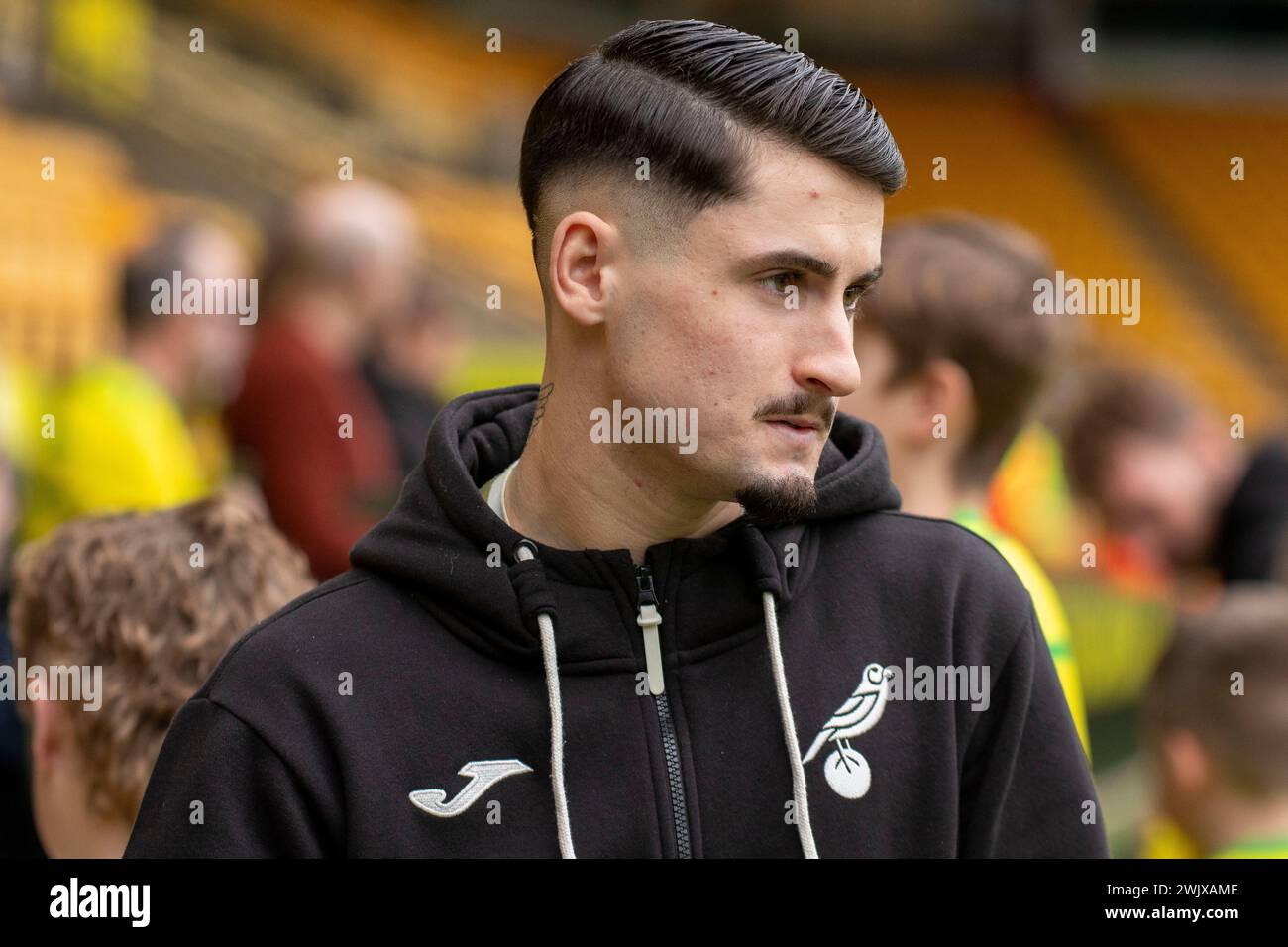 Norwich borja sainz hi-res stock photography and images - Alamy