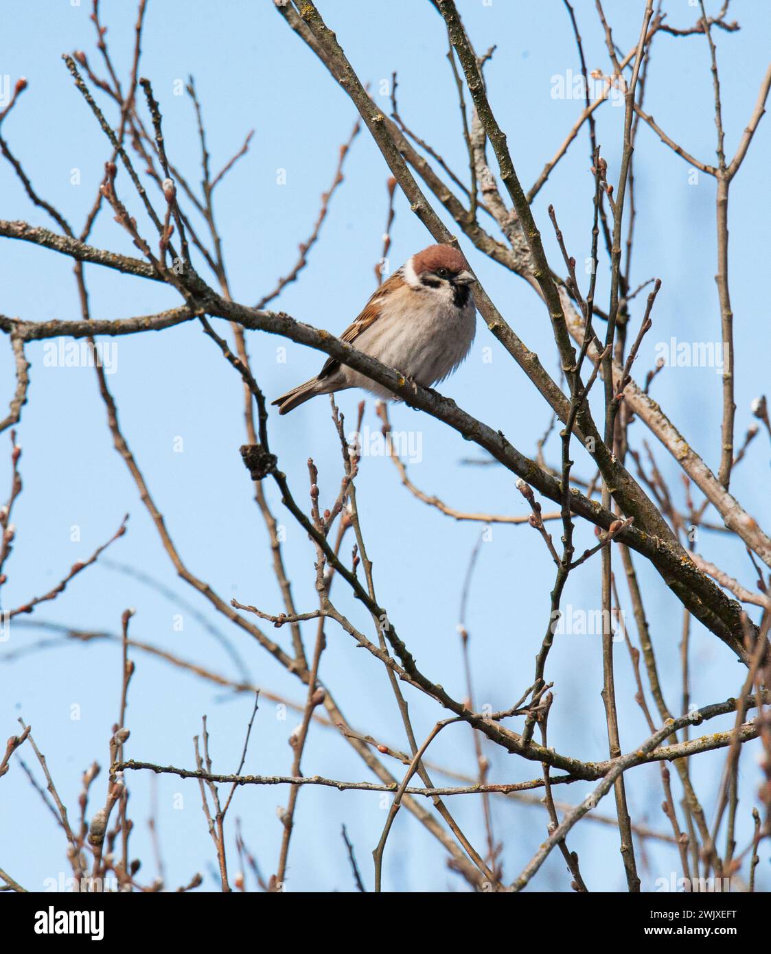 Passer by hi-res stock photography and images - Alamy