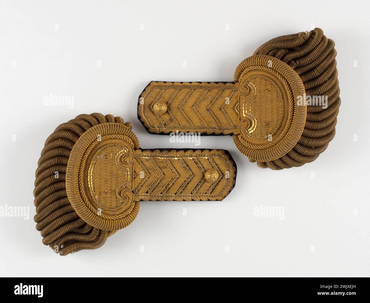 Shoulder. Pair of shoulder of large brigadier general holding that ...