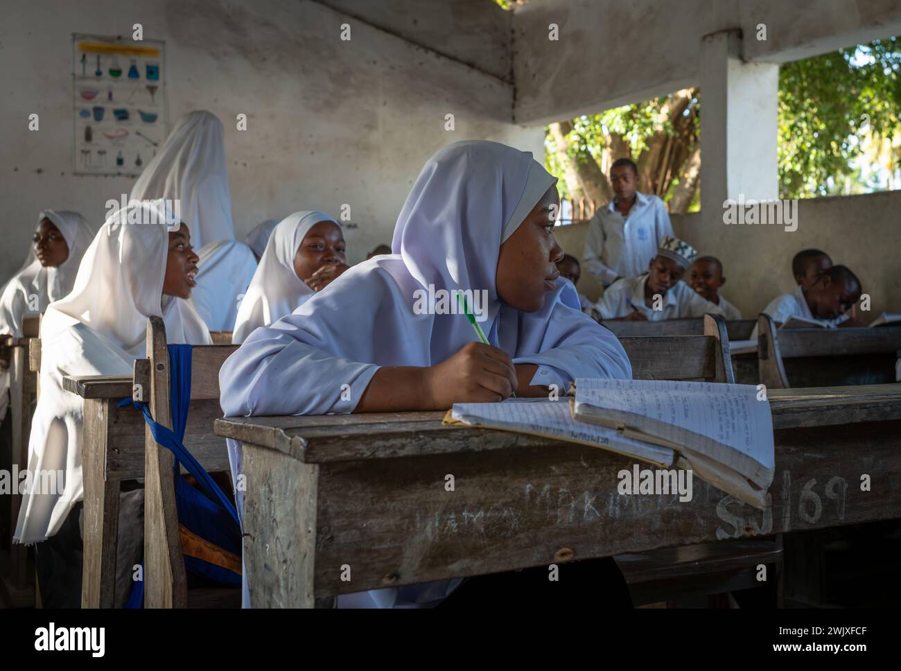 A muslim girl and other male and female students in an English class at ...
