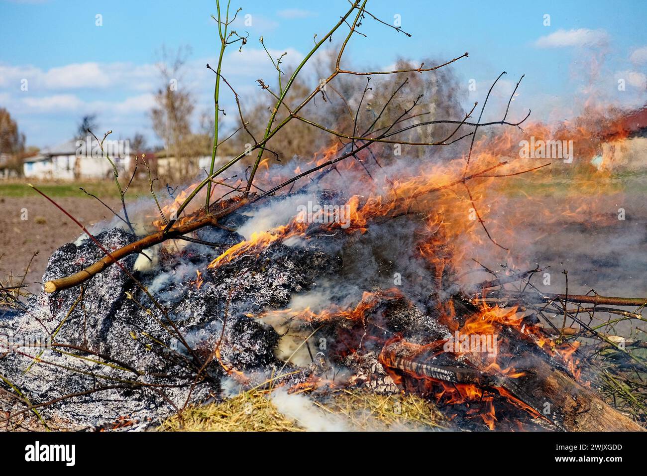 Fire consumes a pile of wood and dry grass. Illegal burning of leaves ...