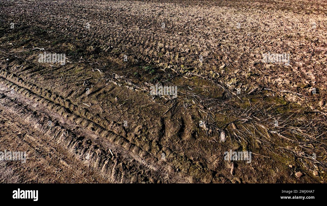 A close-up view of rough, uneven ground with visible tire tracks and ...