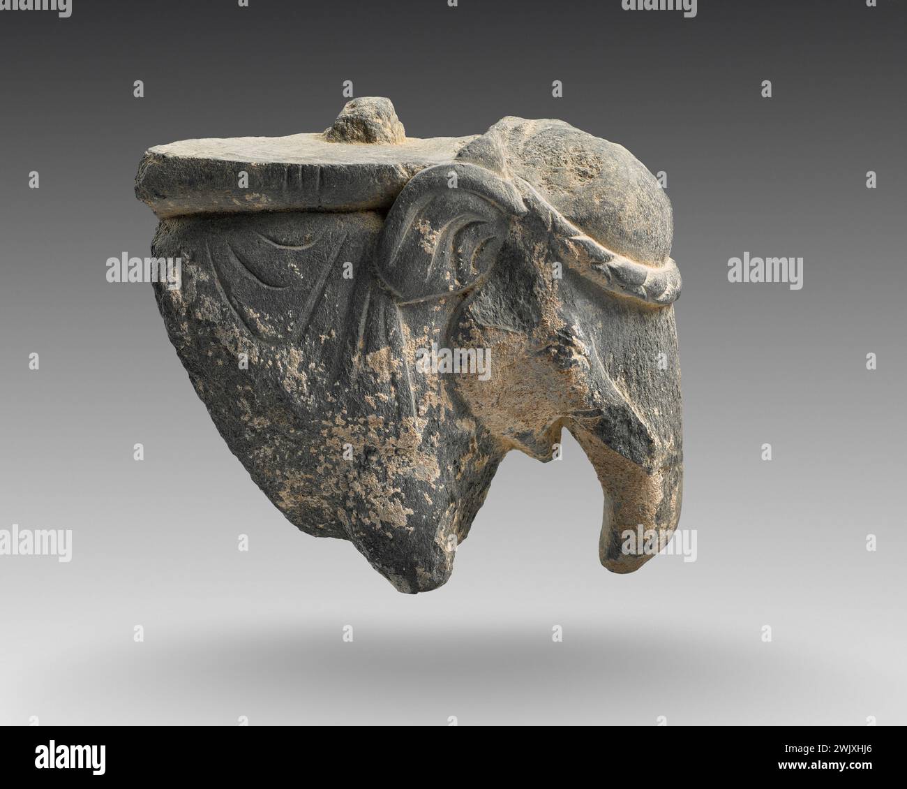 Elephant protomed (common name), 0100. Gray shale. Cernuschi Museum ...