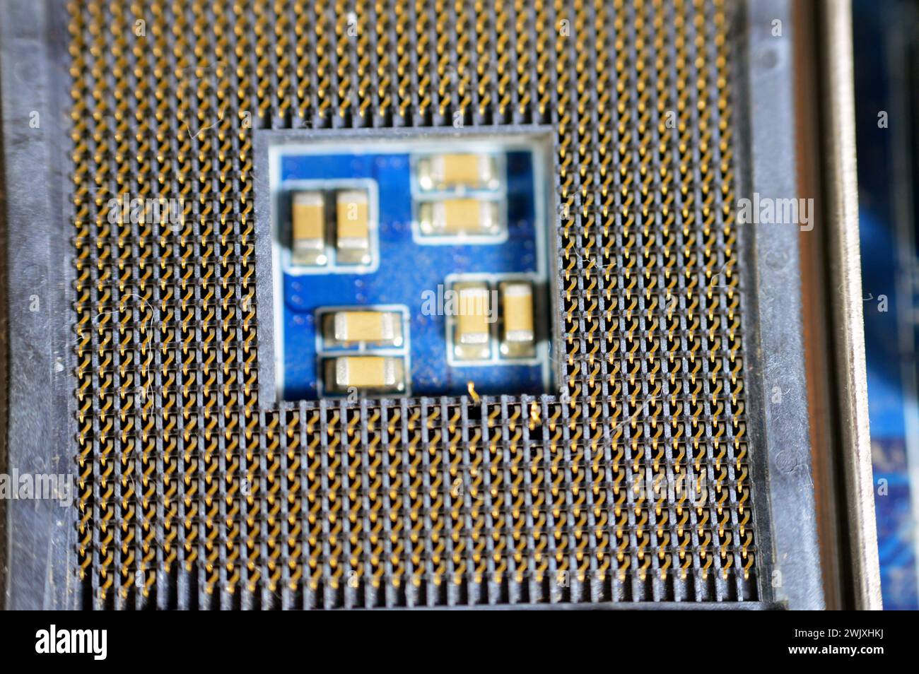 a processor or processing unit, an electrical component (digital ...