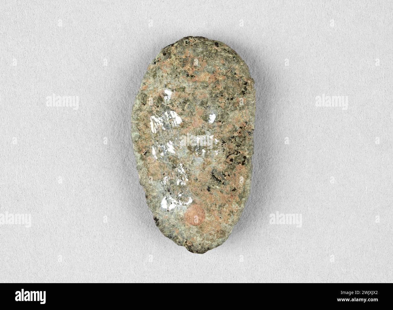 Cauris de Bronze, 0399. BM1. Cernuschi Museum, Asia Museum of Asia in ...