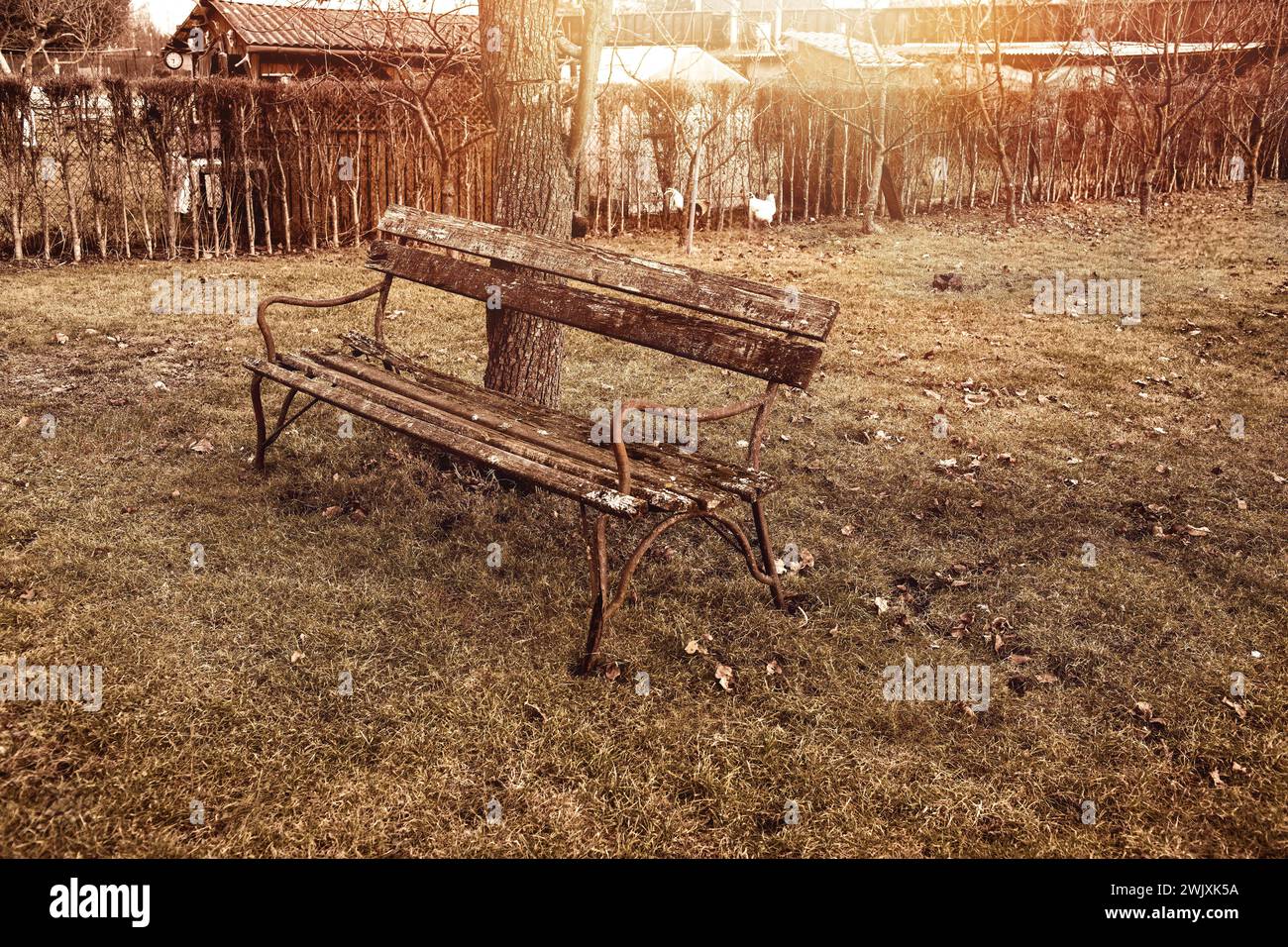 An old bench in the backyard garden.Spring season Stock Photo - Alamy