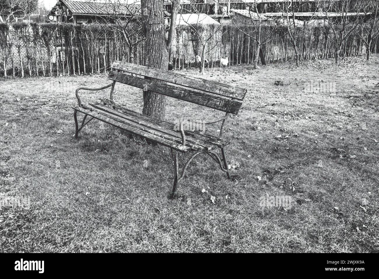 An old bench in the backyard garden.Spring season Stock Photo - Alamy