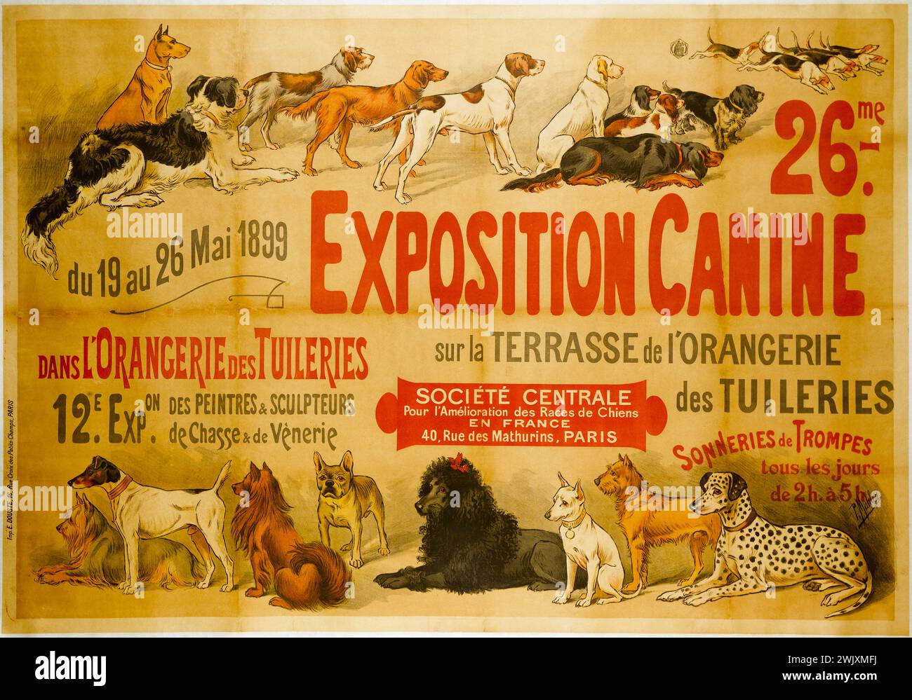P. Mahler. Imprimerie E. Douste. 26th canine exhibition, Orangery of ...
