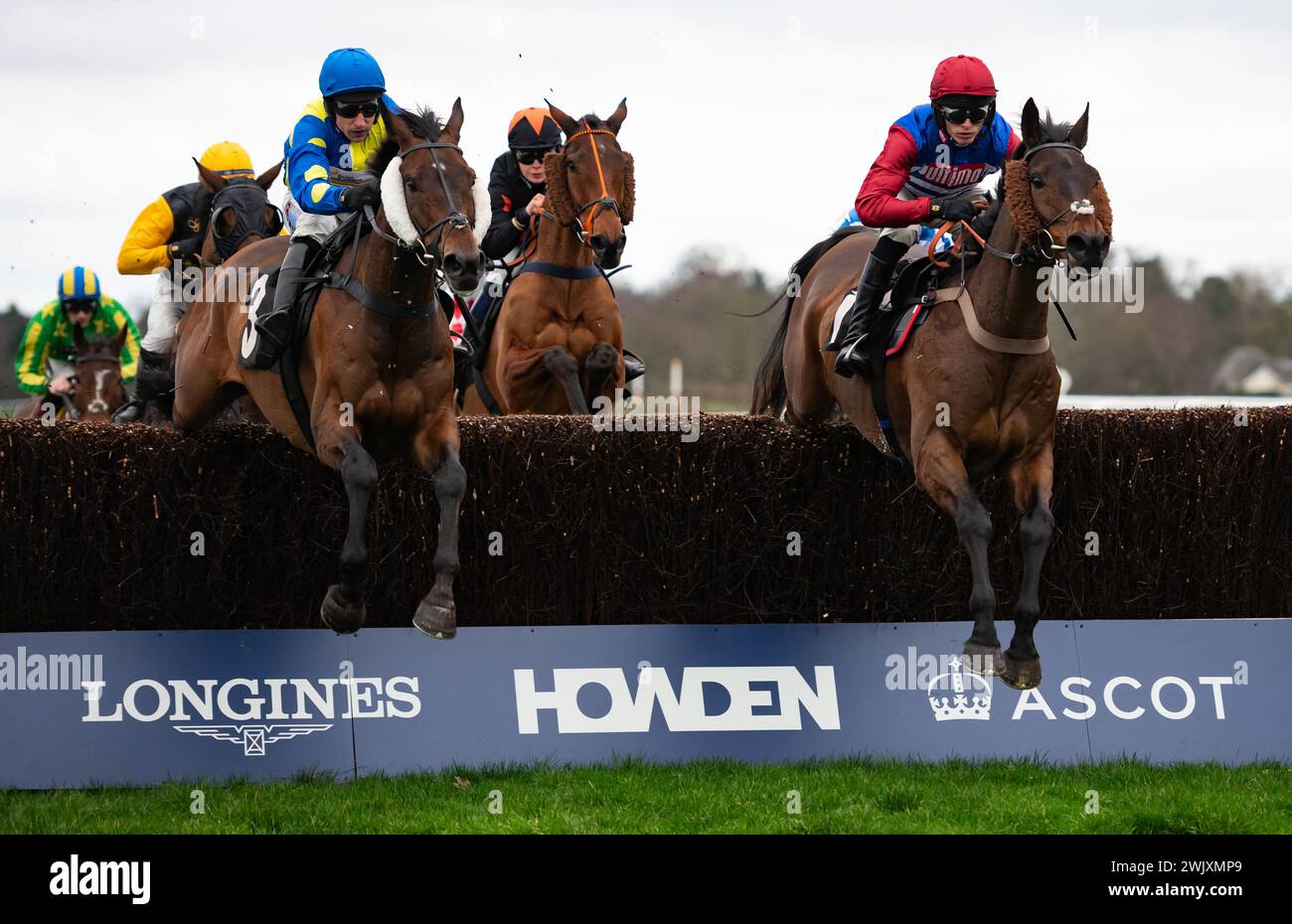 Injured jockey hi-res stock photography and images - Alamy