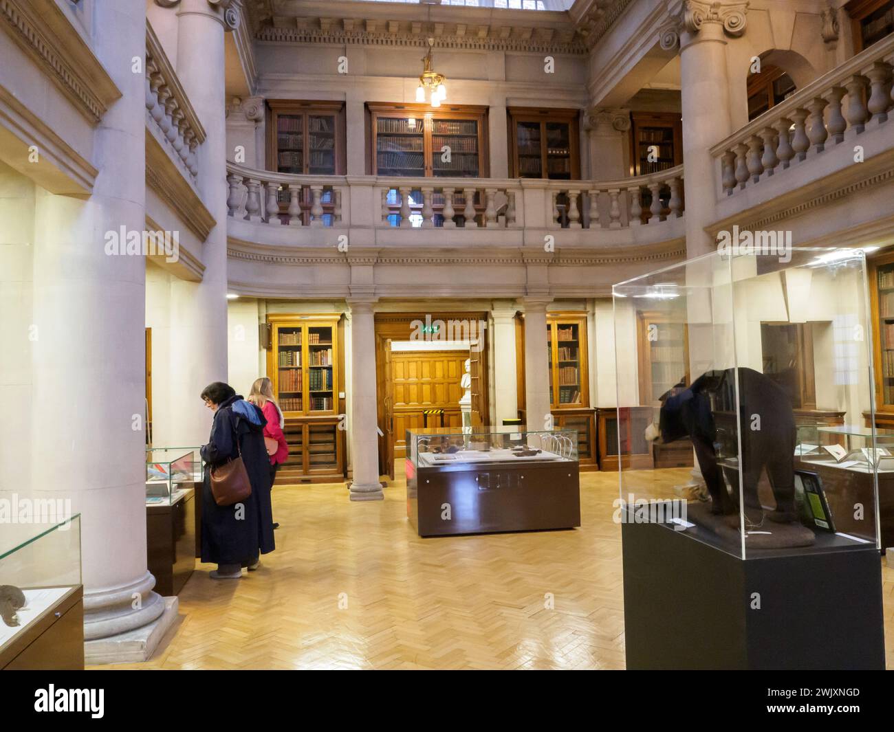 Natural history displays in the Hornby Library Liverpool Stock Photo ...