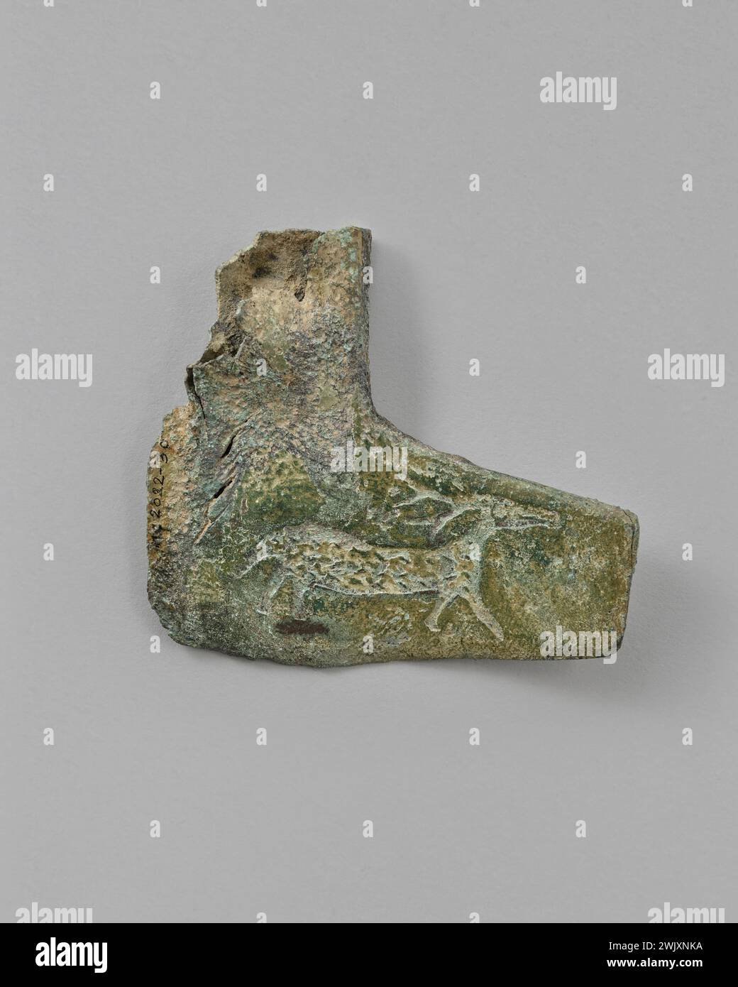 Pediform hi-res stock photography and images - Alamy