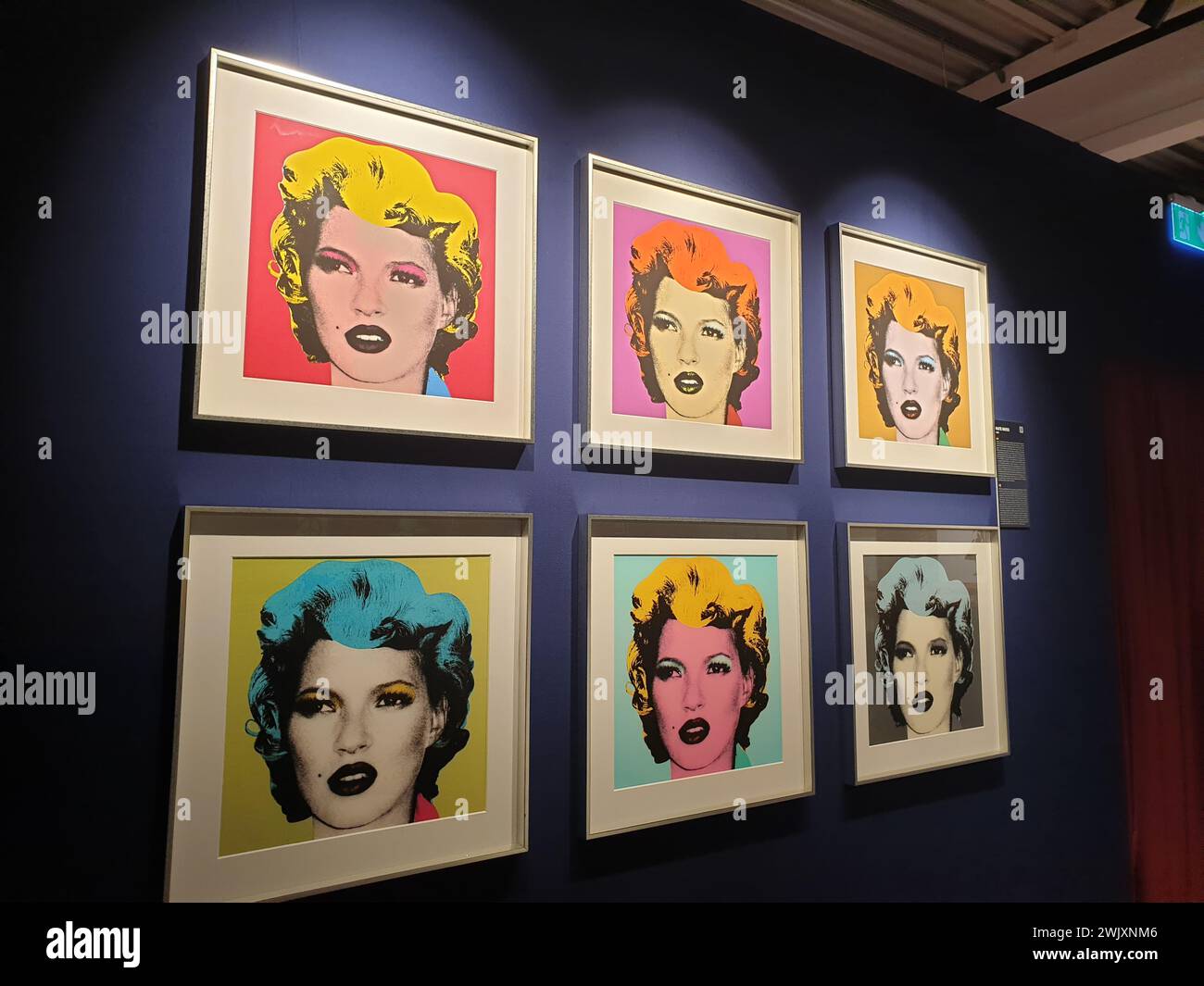Artwork „Kate Moss“ by Banksy in the exhibition „The Mystery of Banksy ...