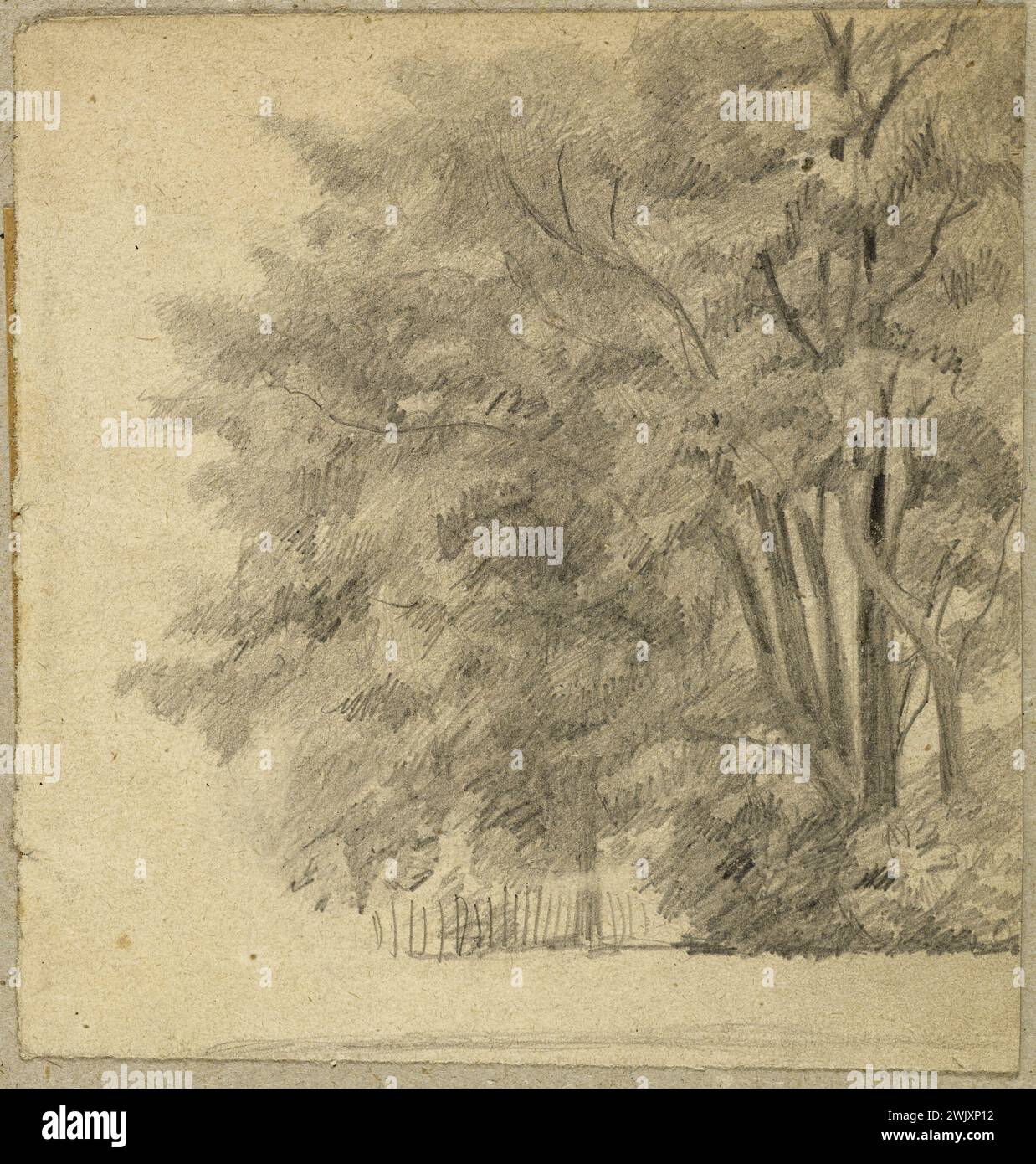 Arthur-Joseph Guéniot (1866-1951). Study of trees (front); Dog lying ...
