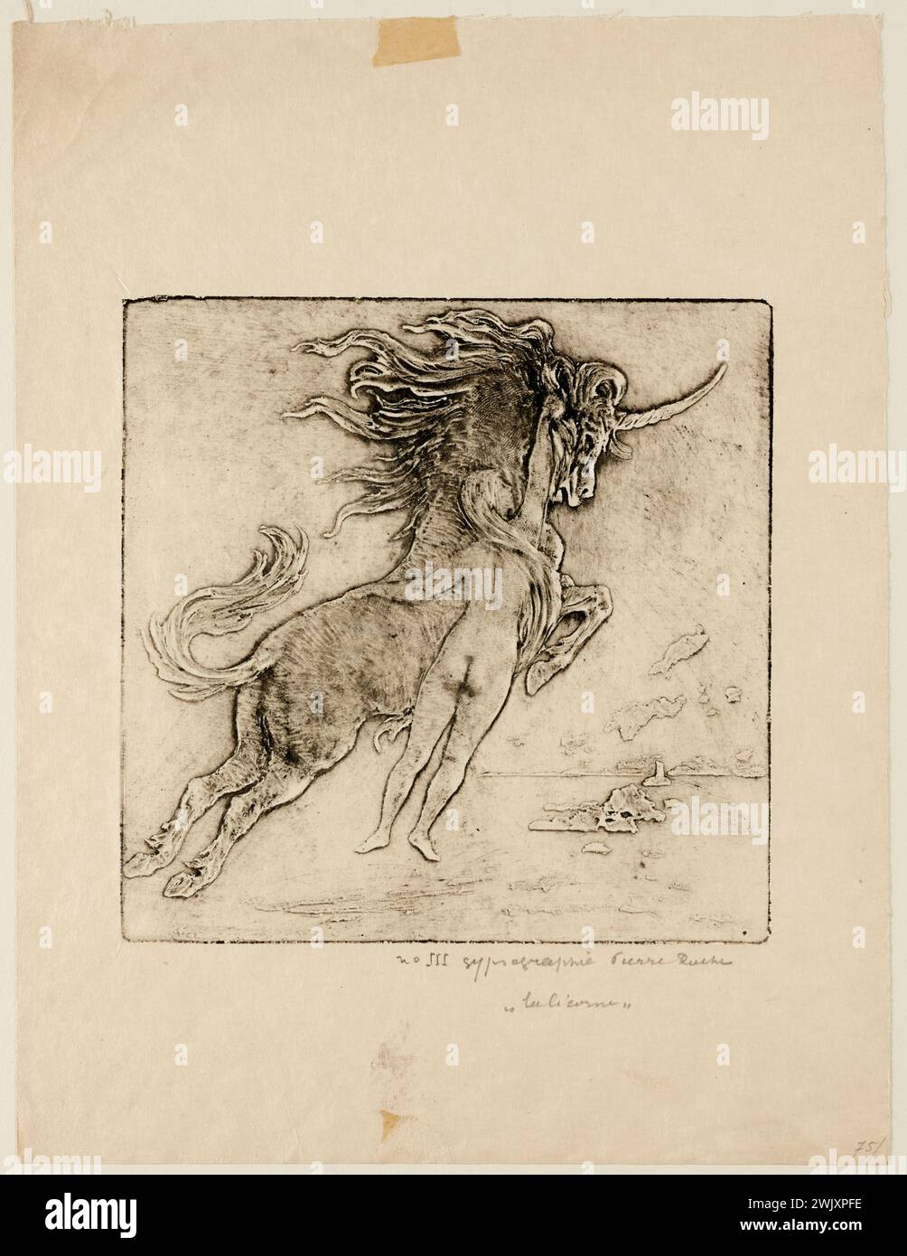 Licorne black hi-res stock photography and images - Alamy