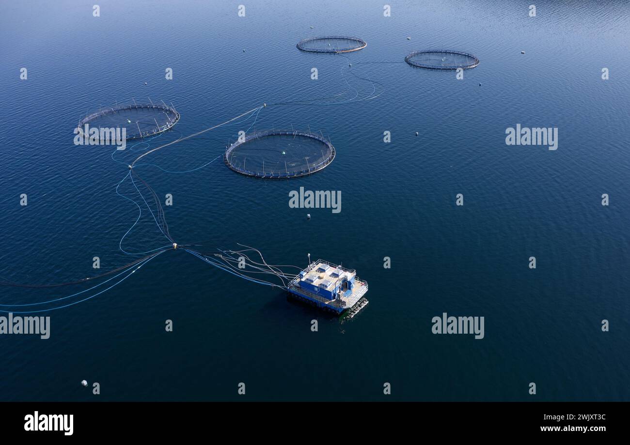 Fish farm salmon round nets in natural environment Loch Fyne Arygll and ...