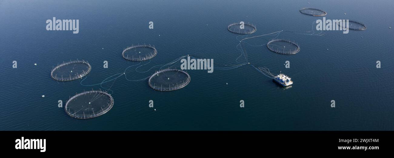 Fish farm salmon round nets in natural environment Loch Fyne Arygll and ...