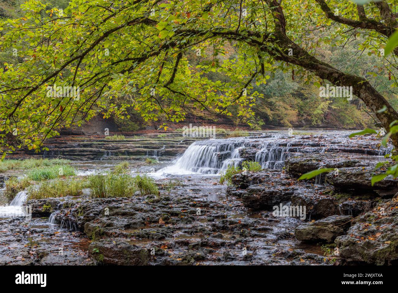 Falling Water Cascades in Burgess Falls State Park near Cookeville ...