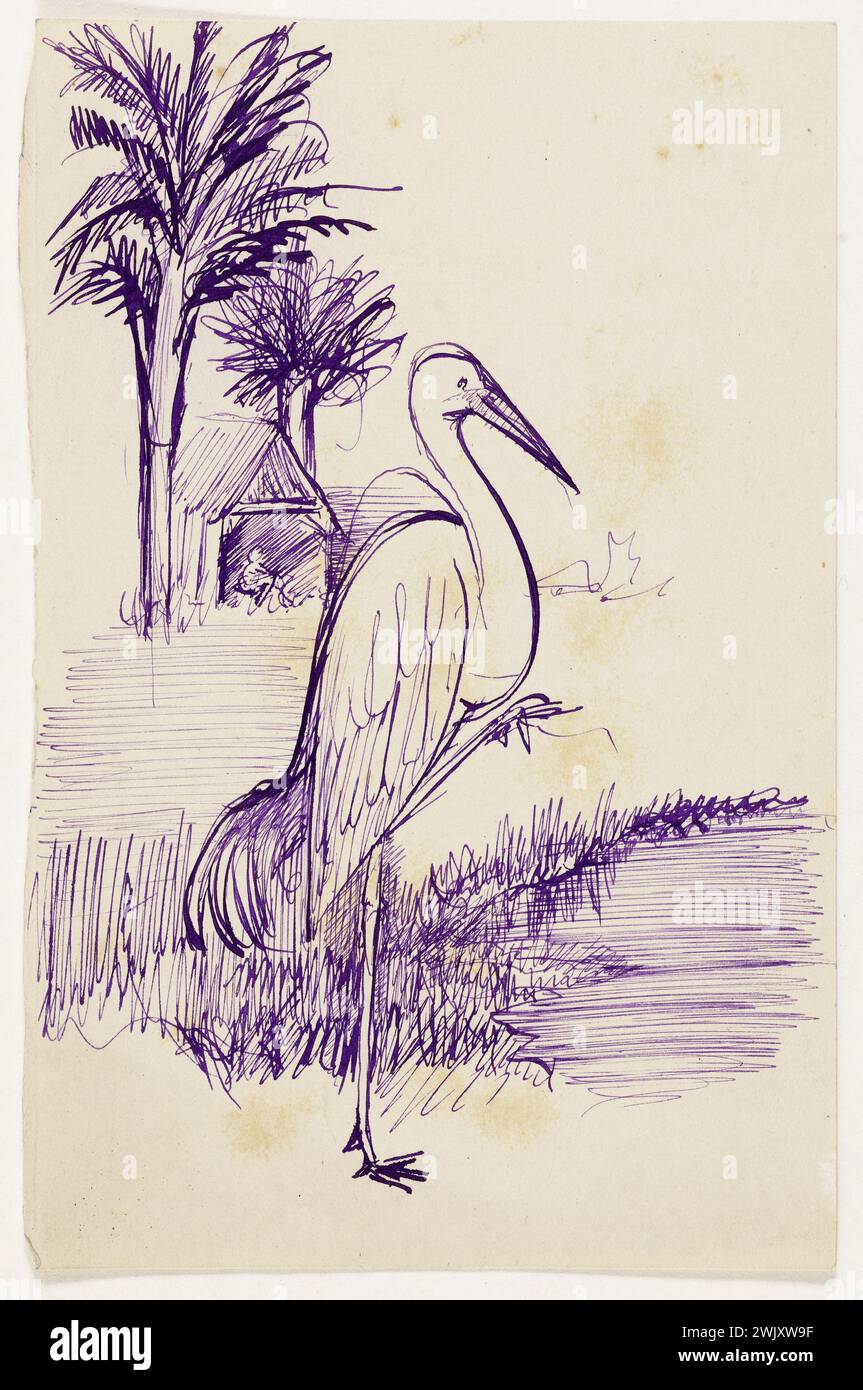 Arthur-Joseph Guéniot (1866-1951). Study of a wading. Feather. Museum ...