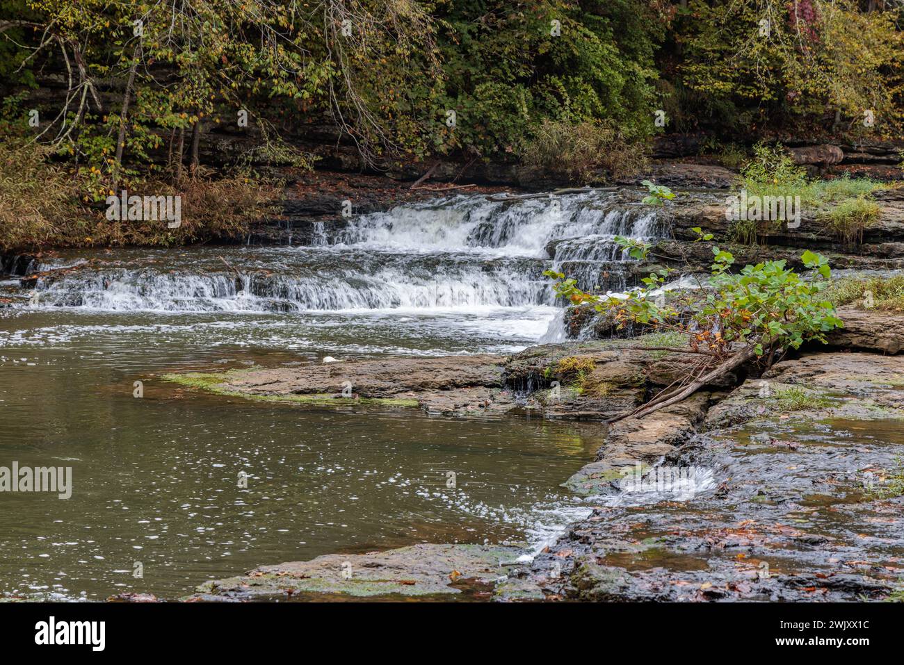 Falling Water Cascades in Burgess Falls State Park near Cookeville ...