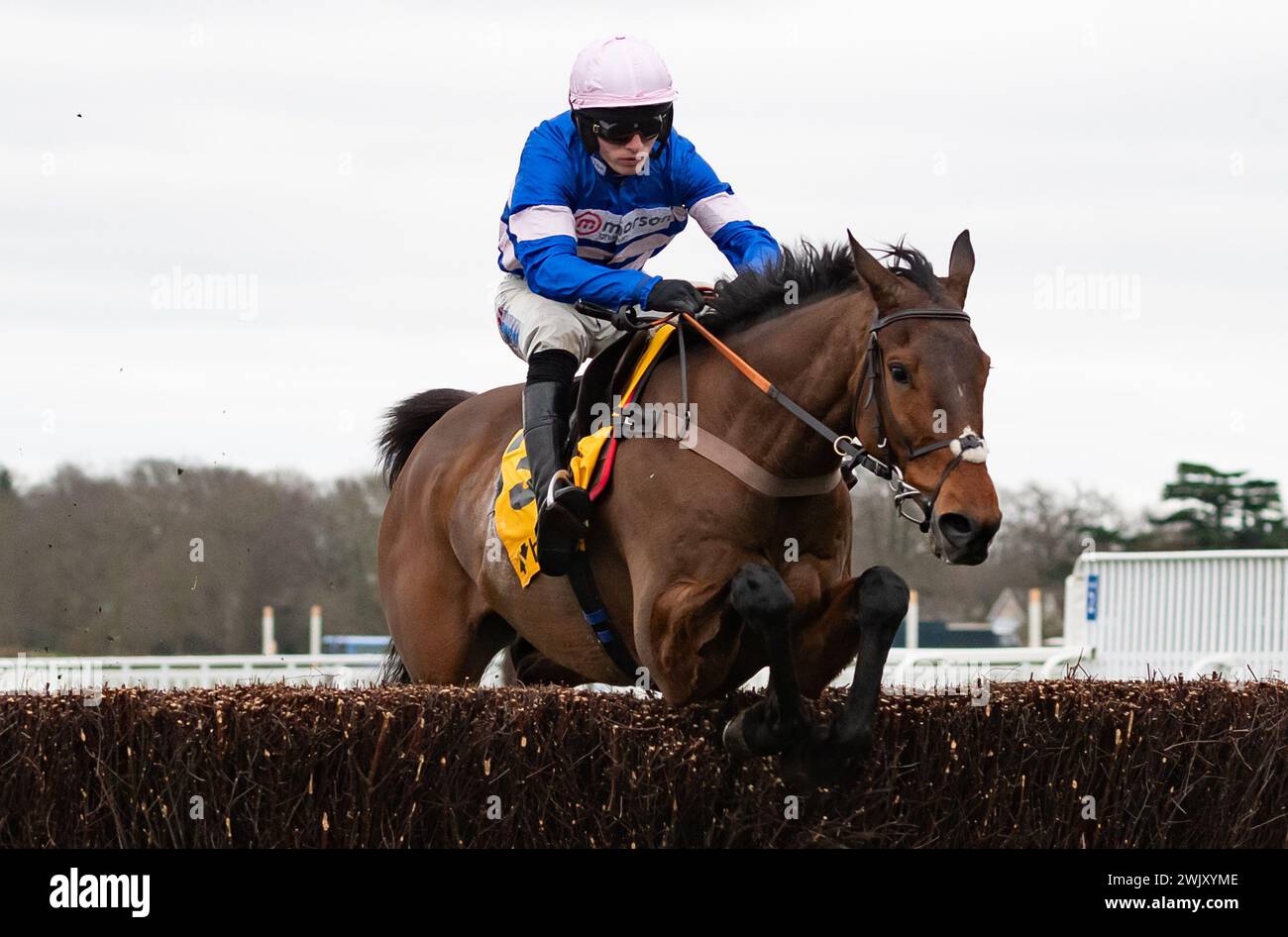 2024 betfair chase hi-res stock photography and images - Alamy