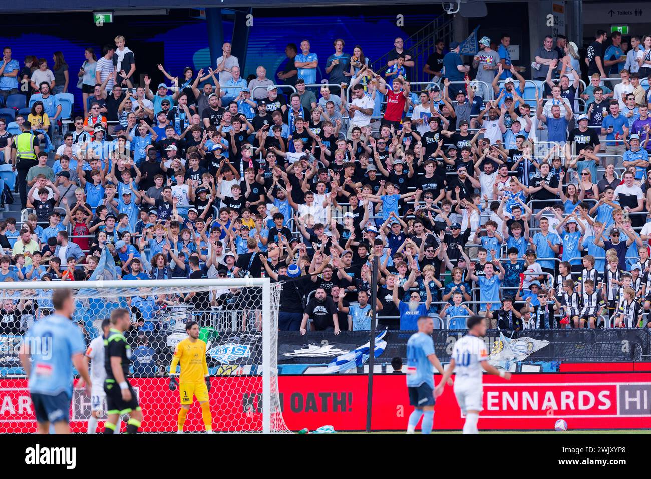 Sydney, Australia. 17th Feb, 2024. Sydney FC fans show their support ...