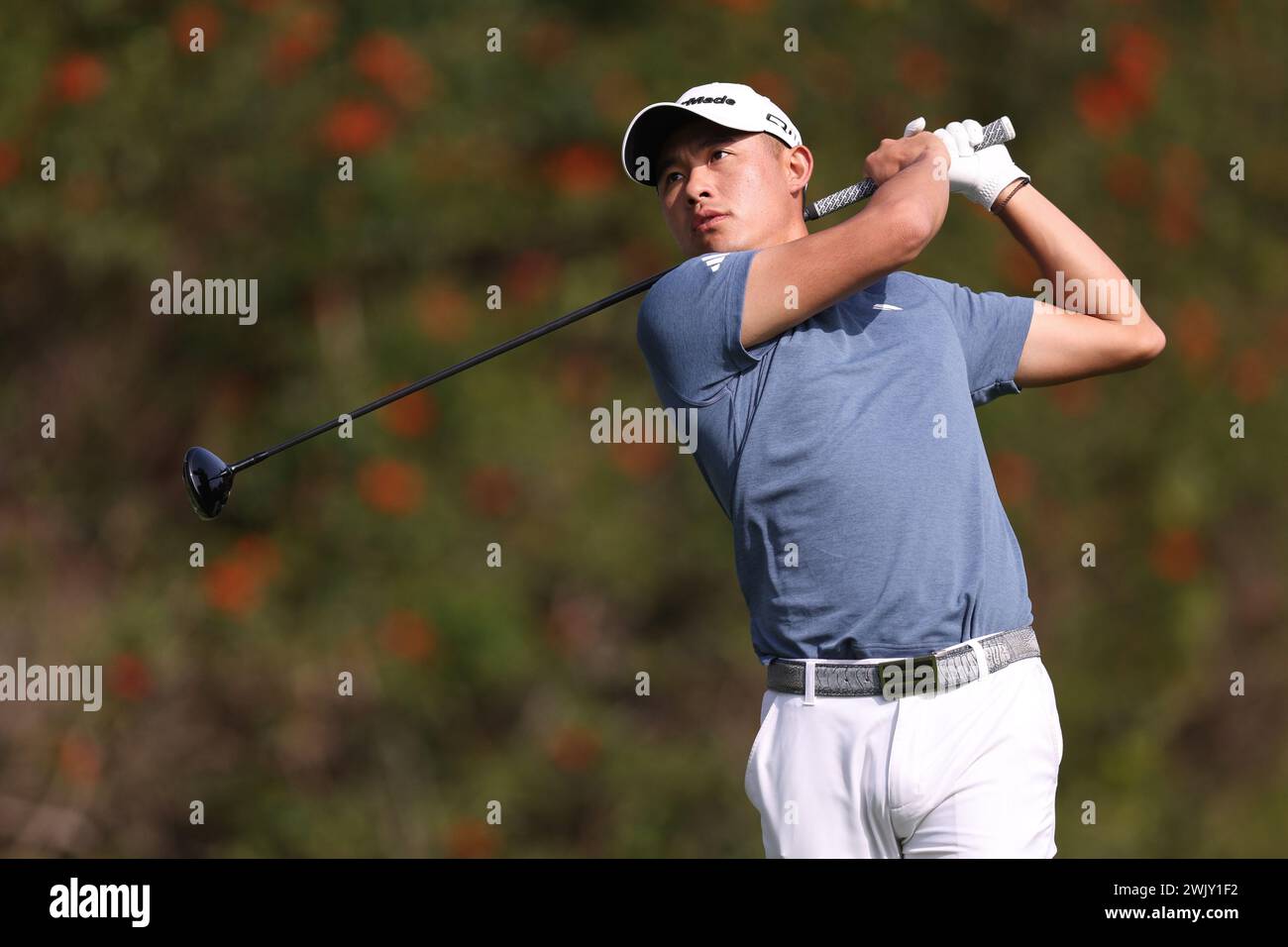 Collin morikawa pga tour 2024 hi-res stock photography and images - Alamy