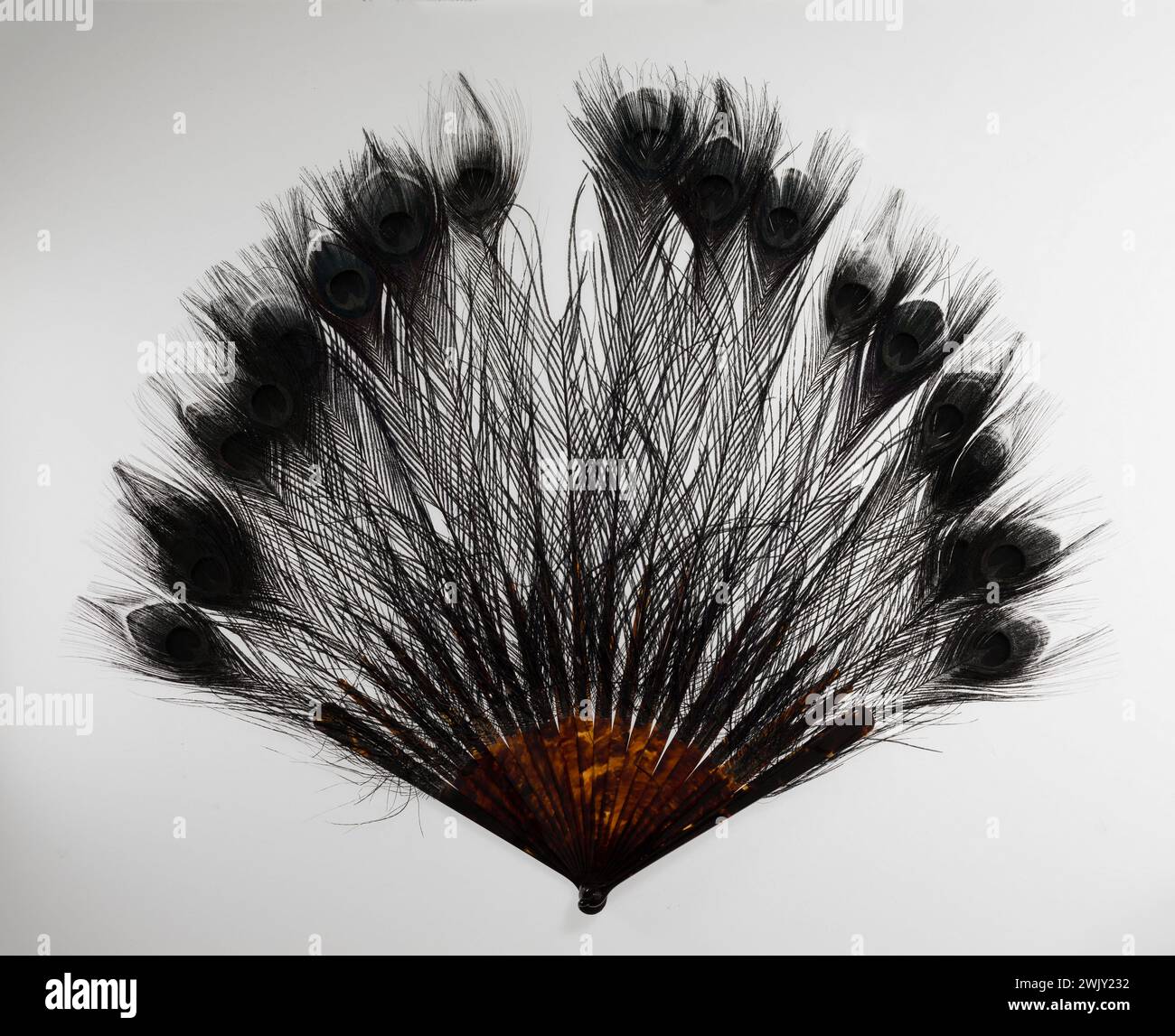 Duvelleroy. Broken swab in black peacock feathers, early twentieth ...