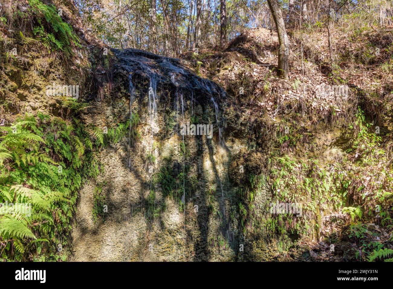 Waters of the highest waterfall in Florida fall into a deep sinkhole at ...