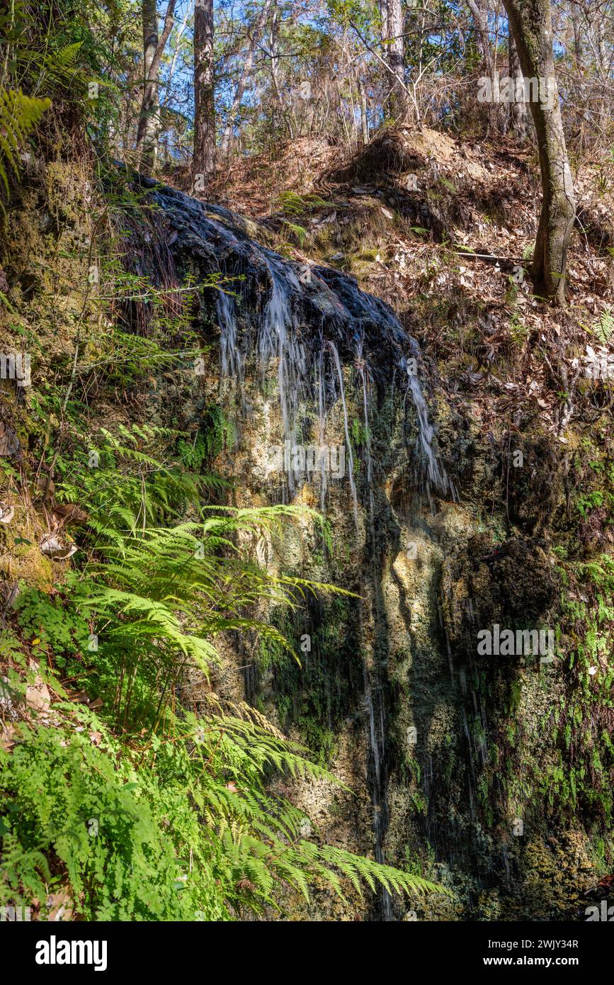 Waters of the highest waterfall in Florida fall into a deep sinkhole at ...