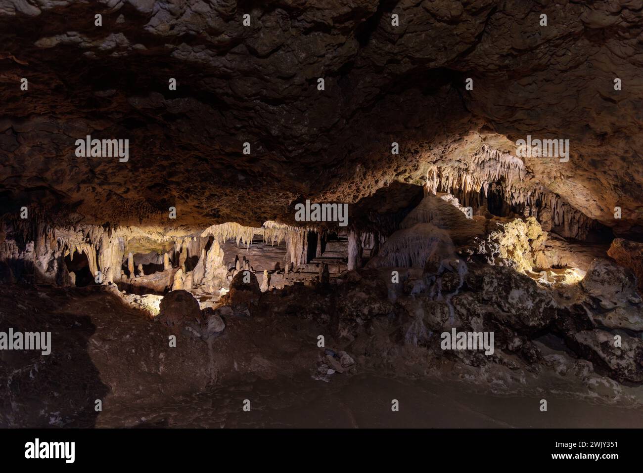 Limestone rock formations in a cave at Florida Caverns State Park in ...
