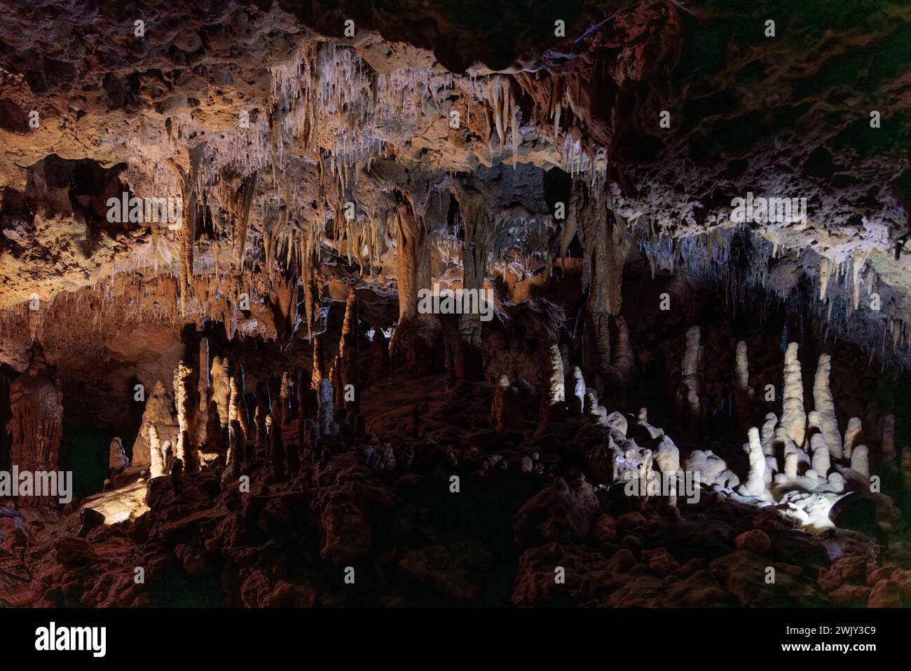 Limestone rock formations in a cave at Florida Caverns State Park in ...