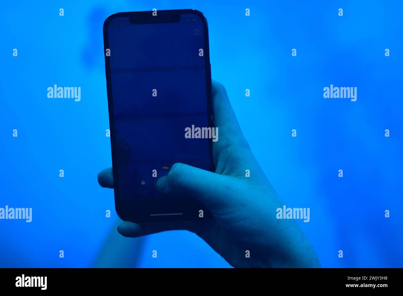 Everton fans demonstrate against the 10 point deduction imposed on the ...