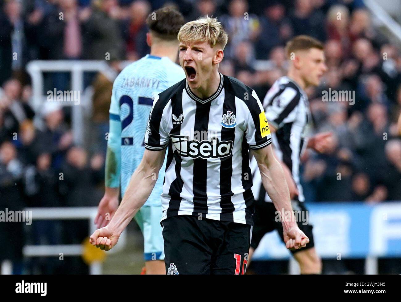 Newcastle United's Anthony Gordon celebrates after scoring their side's ...