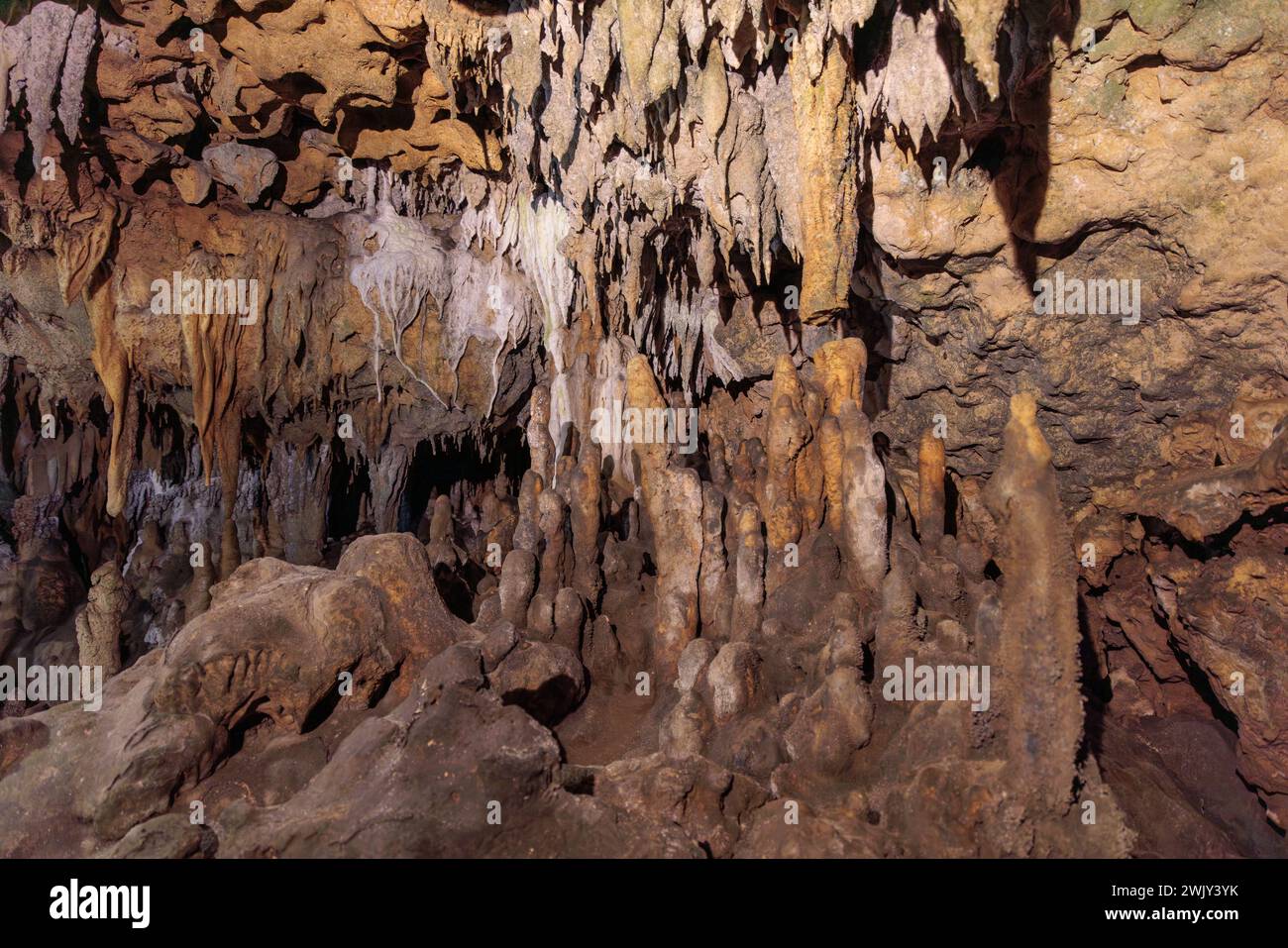 Limestone rock formations in a cave at Florida Caverns State Park in ...