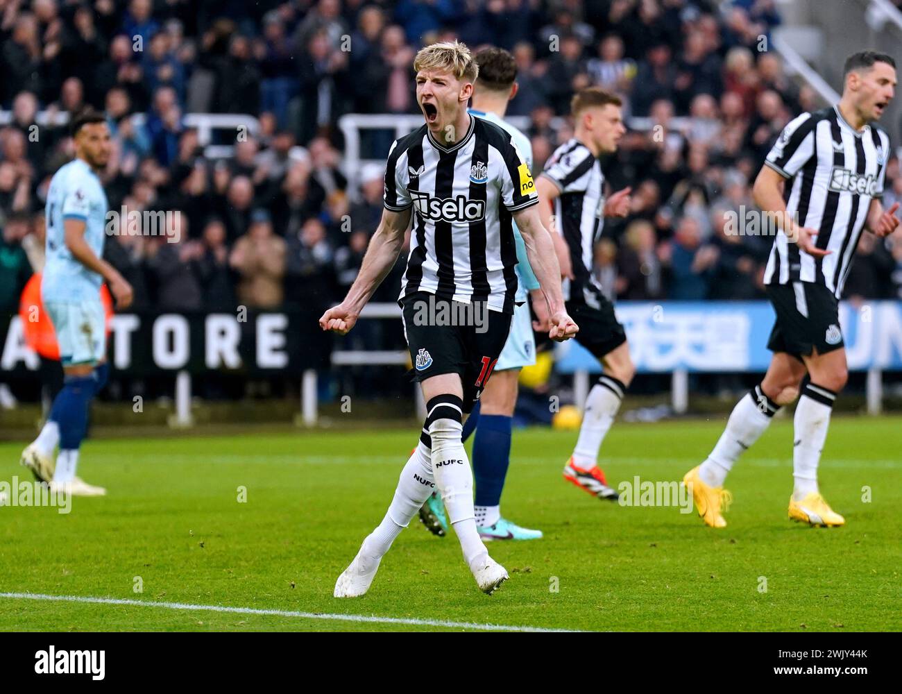 Newcastle United's Anthony Gordon celebrates after scoring their side's ...