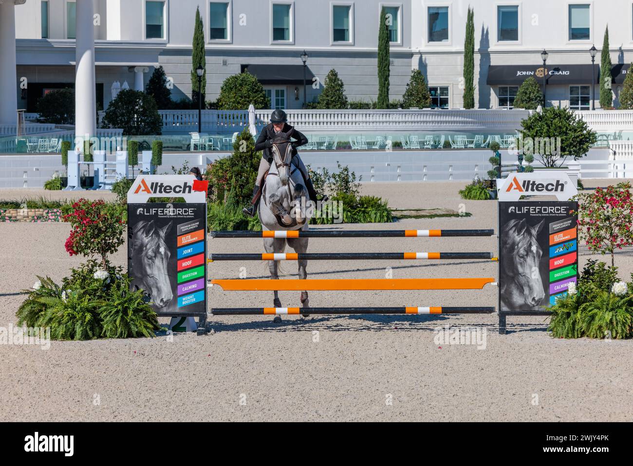 Rider competing in the Hunter Jumper competition in the Grand Outdoor ...