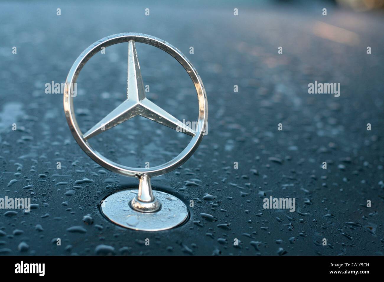 Mercedes-Benz star, physical logo, on a s-class car hood full of ...