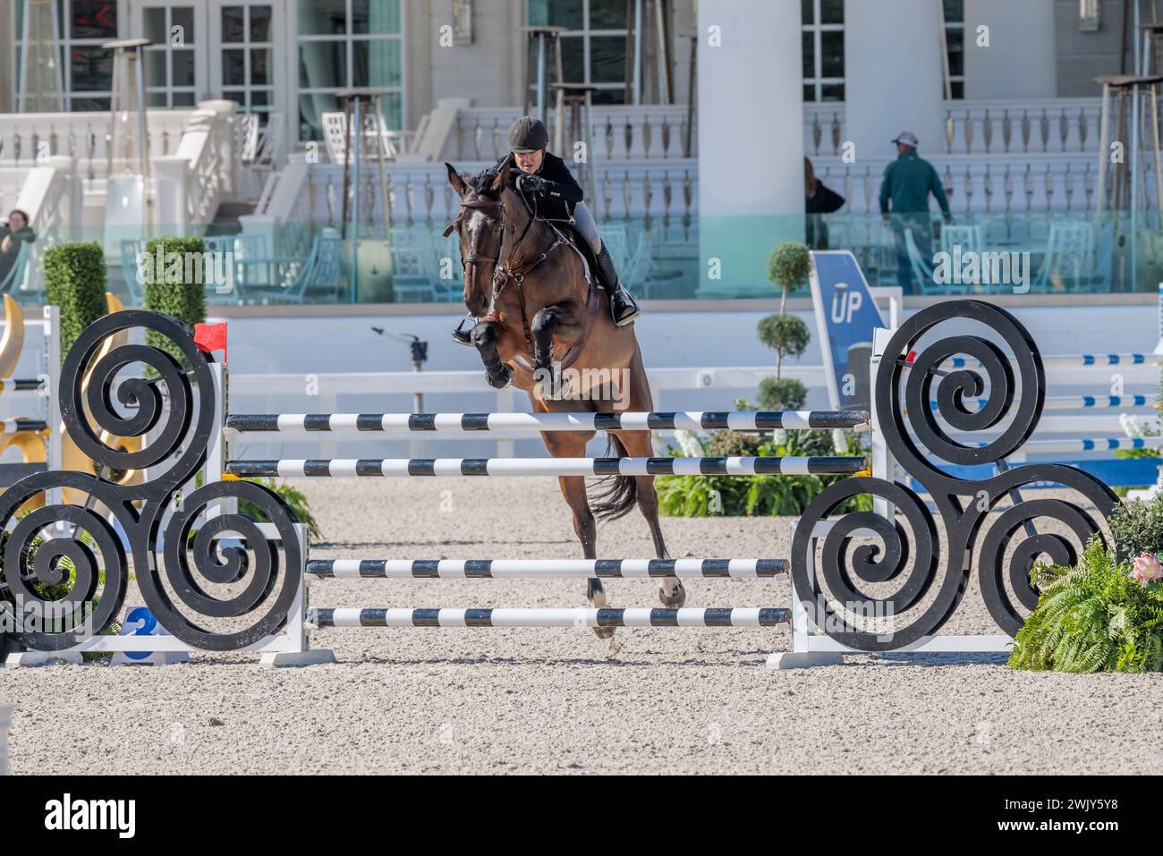 Woman competing in the Hunter Jumper competition in the Grand Outdoor ...