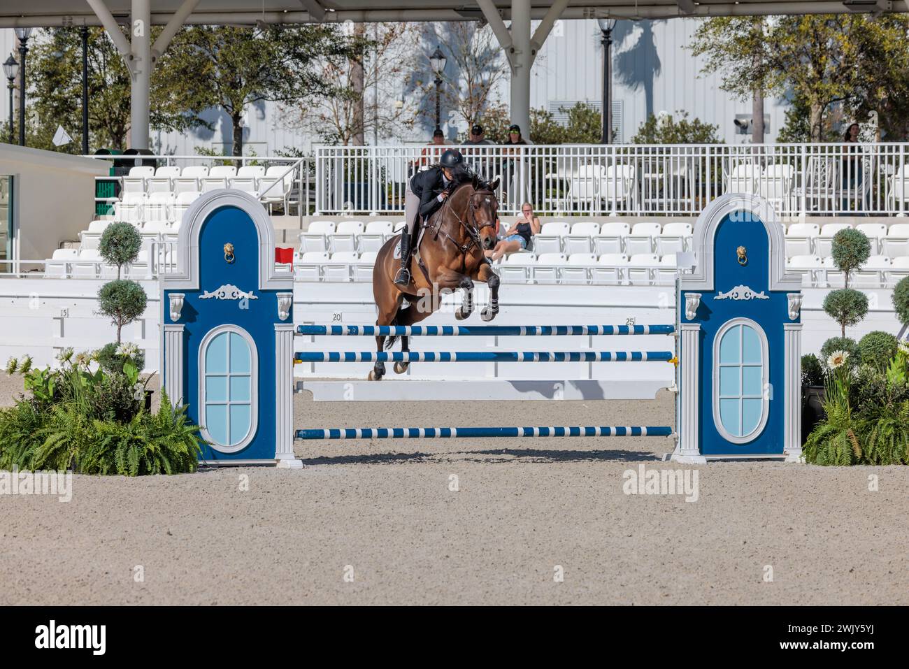 Woman competing in the Hunter Jumper competition in the Grand Outdoor ...