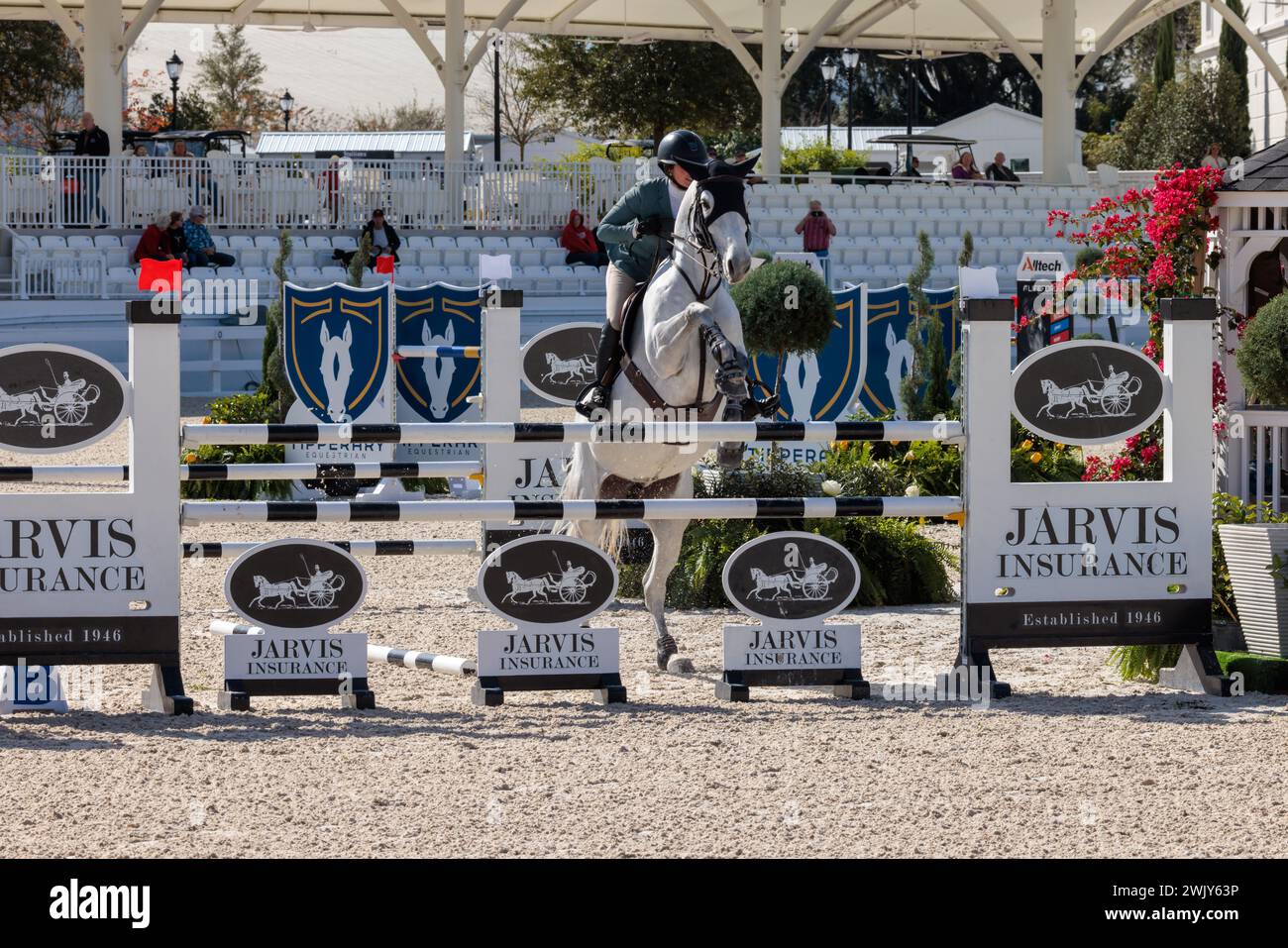 Woman competing in the Hunter Jumper competition in the Grand Outdoor ...